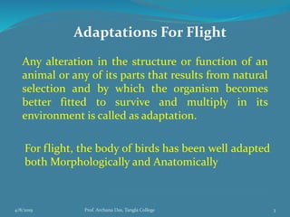 Flight Mechanism in Birds | PPTX