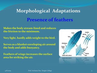 Flight Mechanism in Birds | PPTX