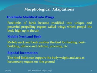 Flight Mechanism in Birds | PPTX