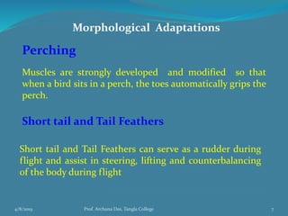 Flight Mechanism in Birds | PPTX