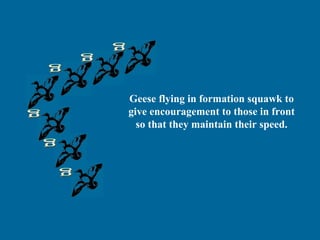Flight of geese | PPS