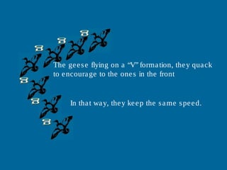 TEAM-WORK-Flight of geese_1 | PPT