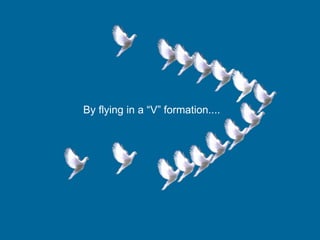 Flight_of_Geese___Teamwork.ppt