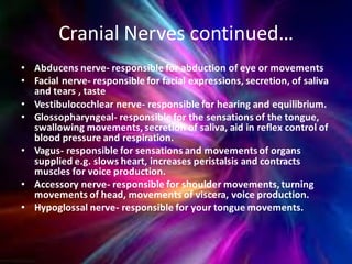 Flight or flee | PDF