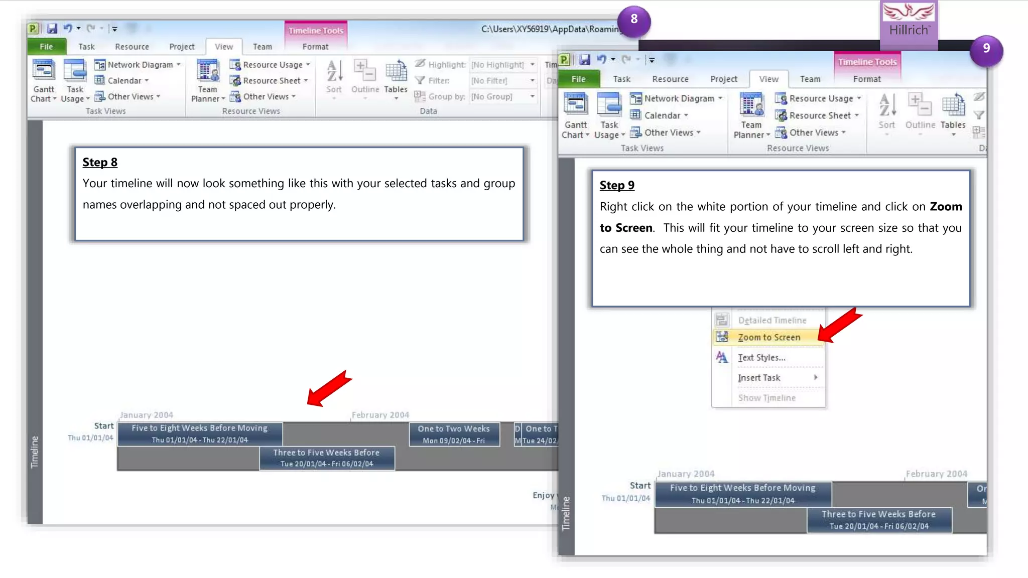 How to build a Project Flight Plan in Microsoft Project | PPTX