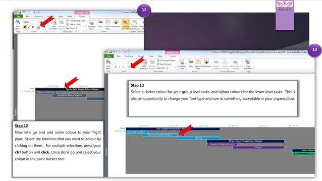 How to build a Project Flight Plan in Microsoft Project | PPTX