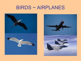 Flight Powerpoint For Speeches | PPT