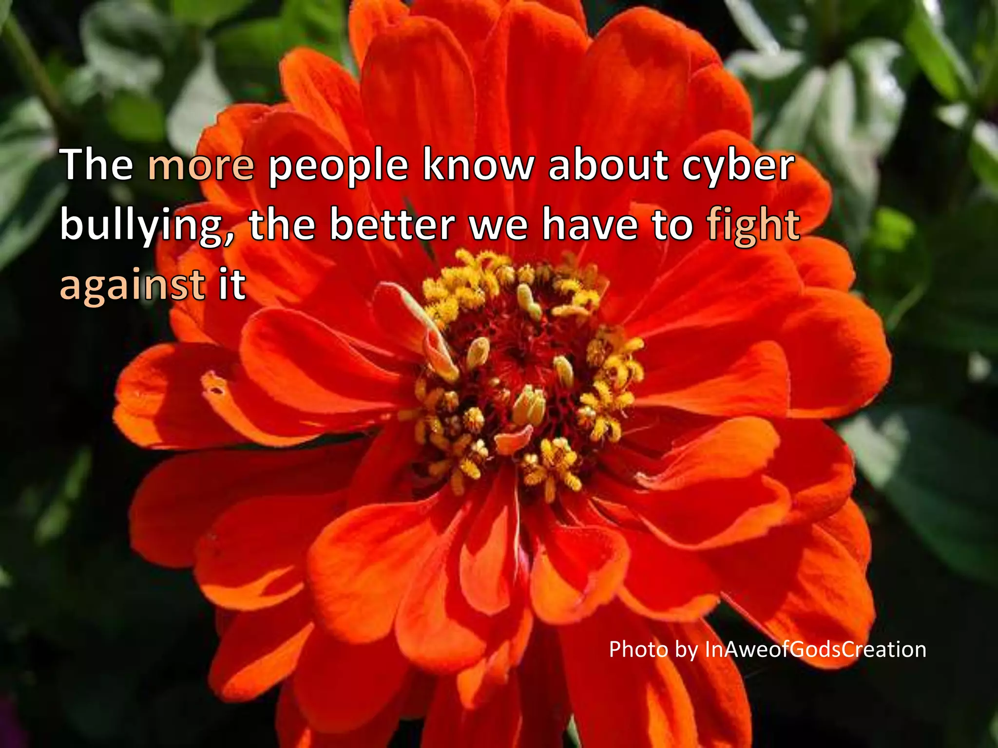 Flipbook assignment | PPTX