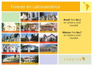 Flip Chart Forever Living | PPT