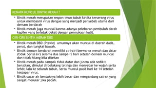 materi kuliah demam berdarah dengue (DBD) | PPTX