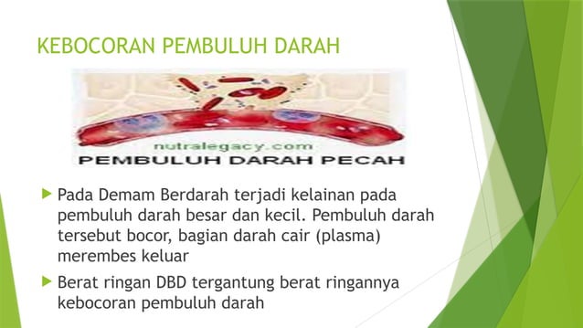 materi kuliah demam berdarah dengue (DBD) | PPTX