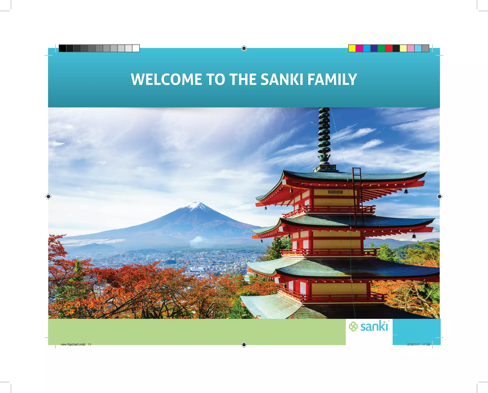 Sanki Flip Chart | PDF