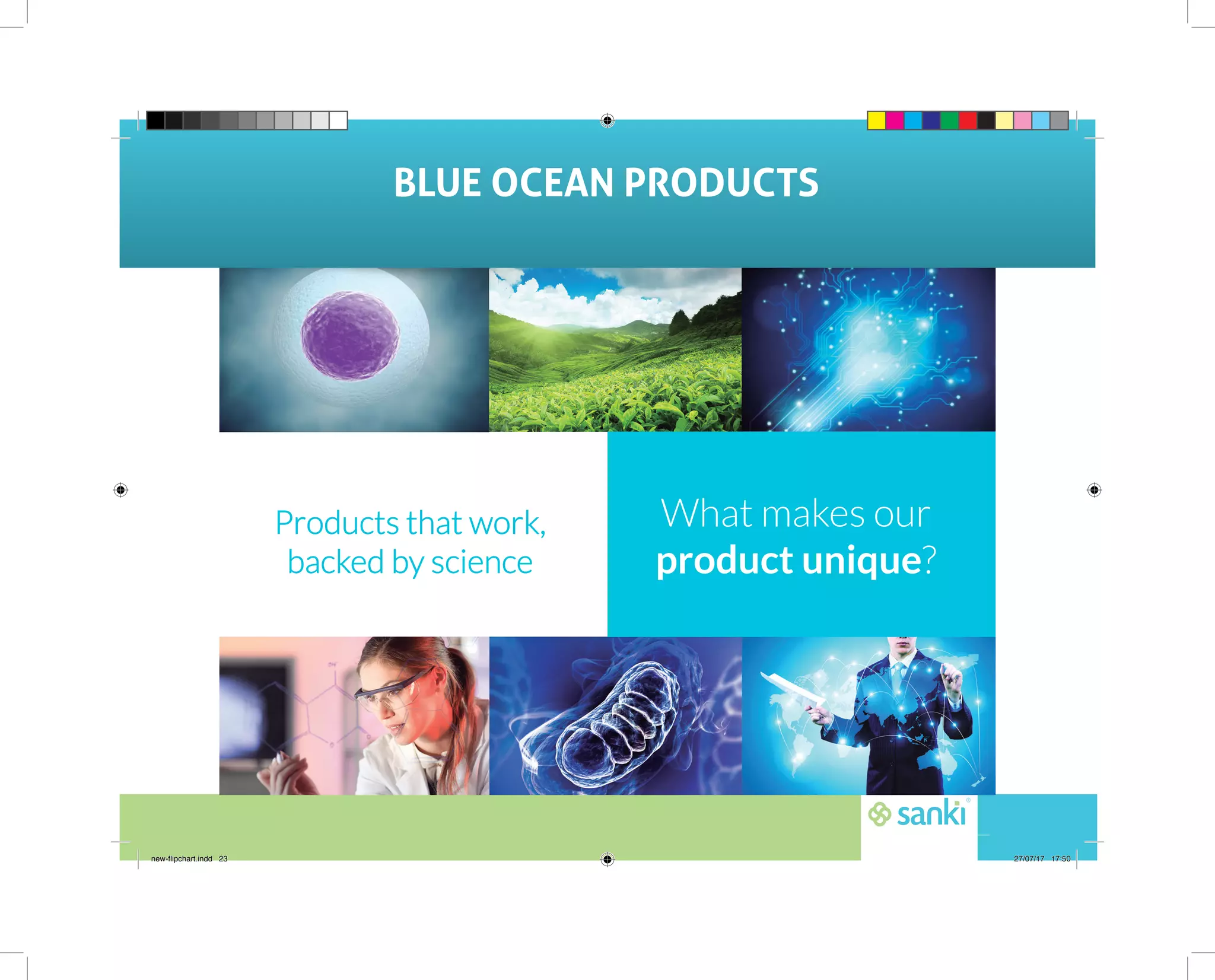 Sanki Flip Chart | PDF