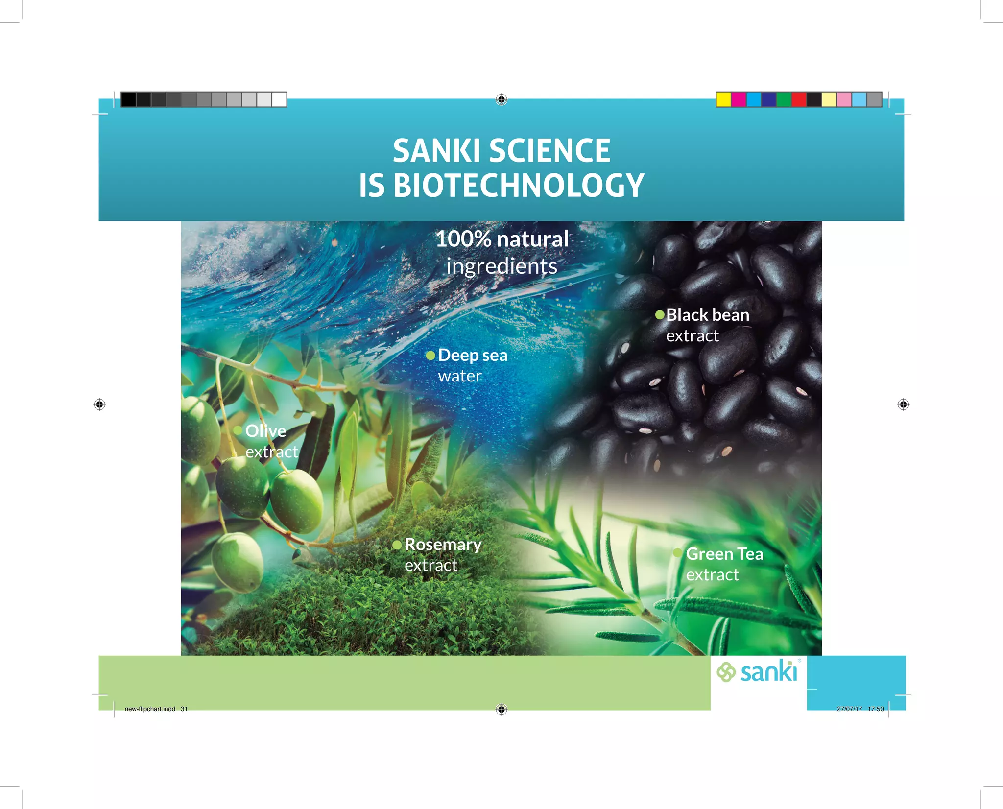 Sanki Flip Chart | PDF