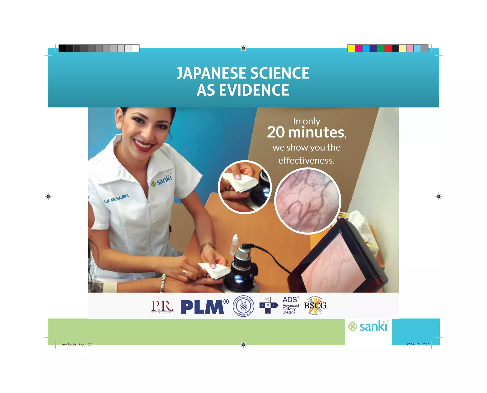 Sanki Flip Chart | PDF