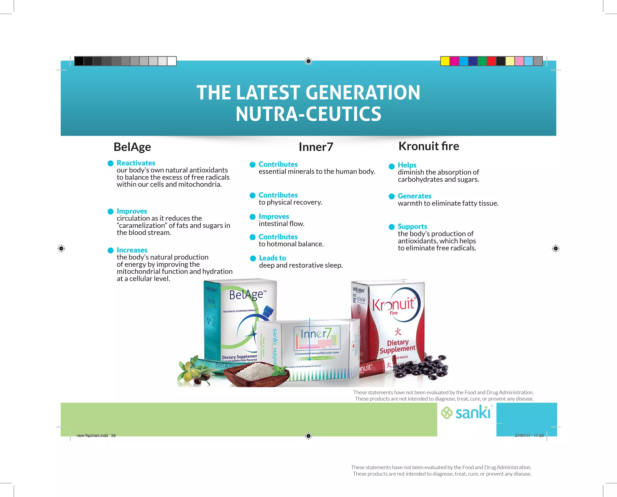 Sanki Flip Chart | PDF