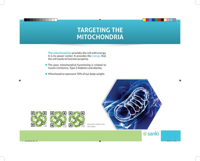 Sanki Flip Chart | PPT