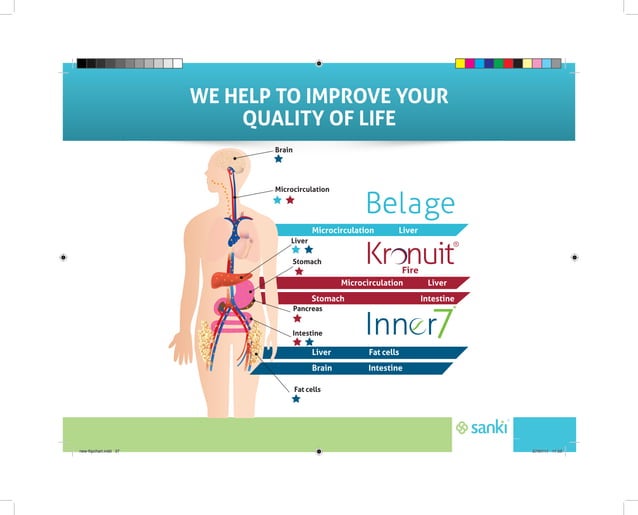 Sanki Flip Chart | PPT