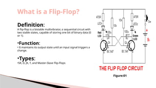 Flip flop presenation-Presented By Mubahir khan.pptx