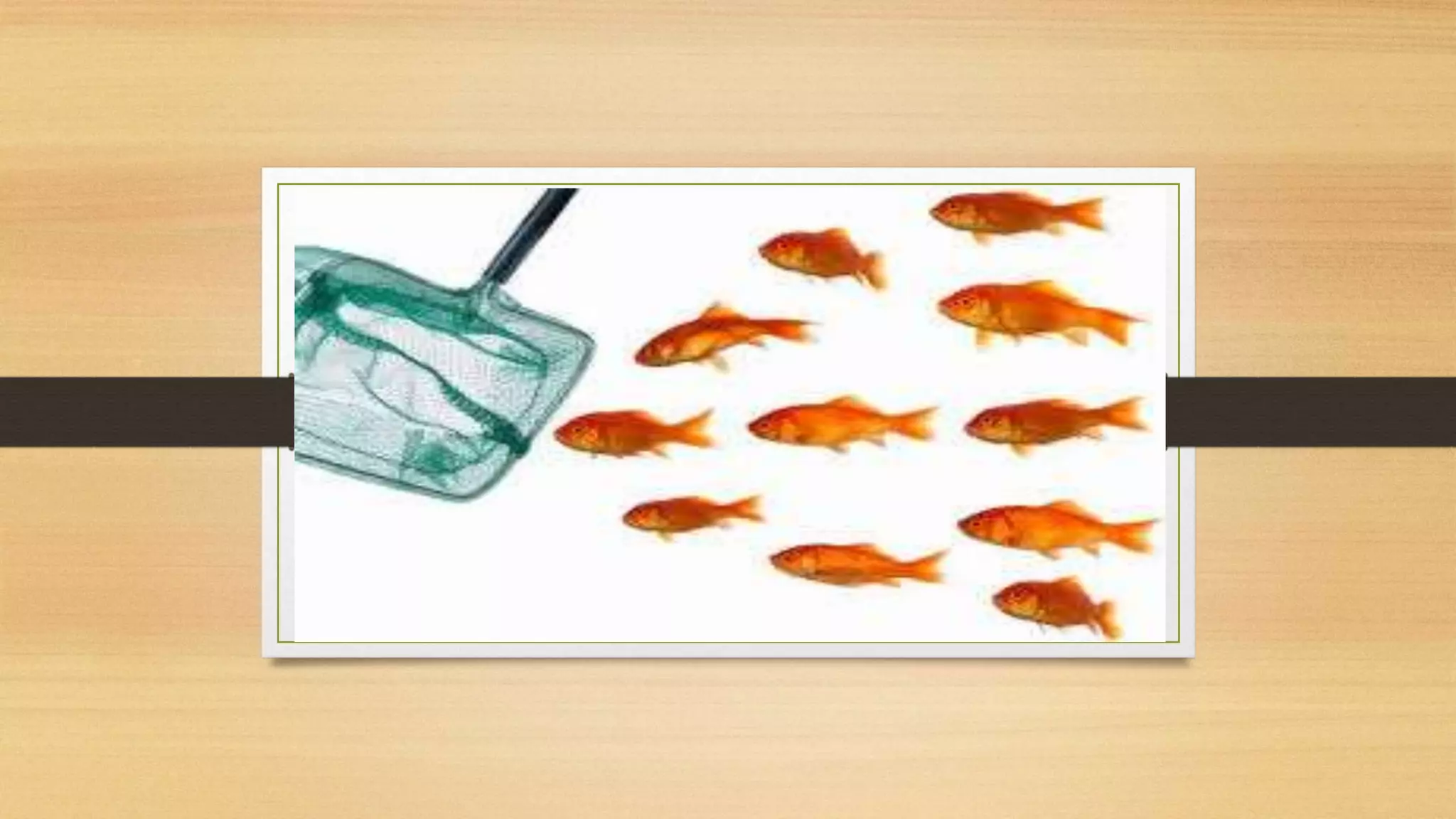 Flipkart: A brief Introduction | PPTX