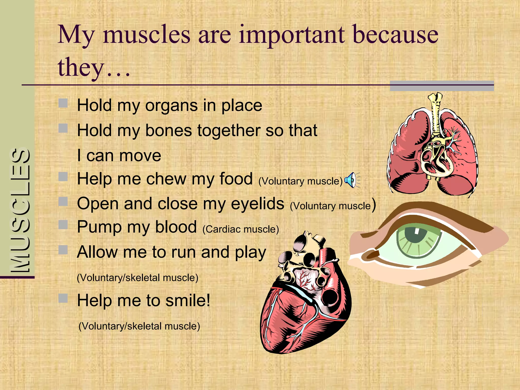 Flipped Classroom - Muscles | PPT