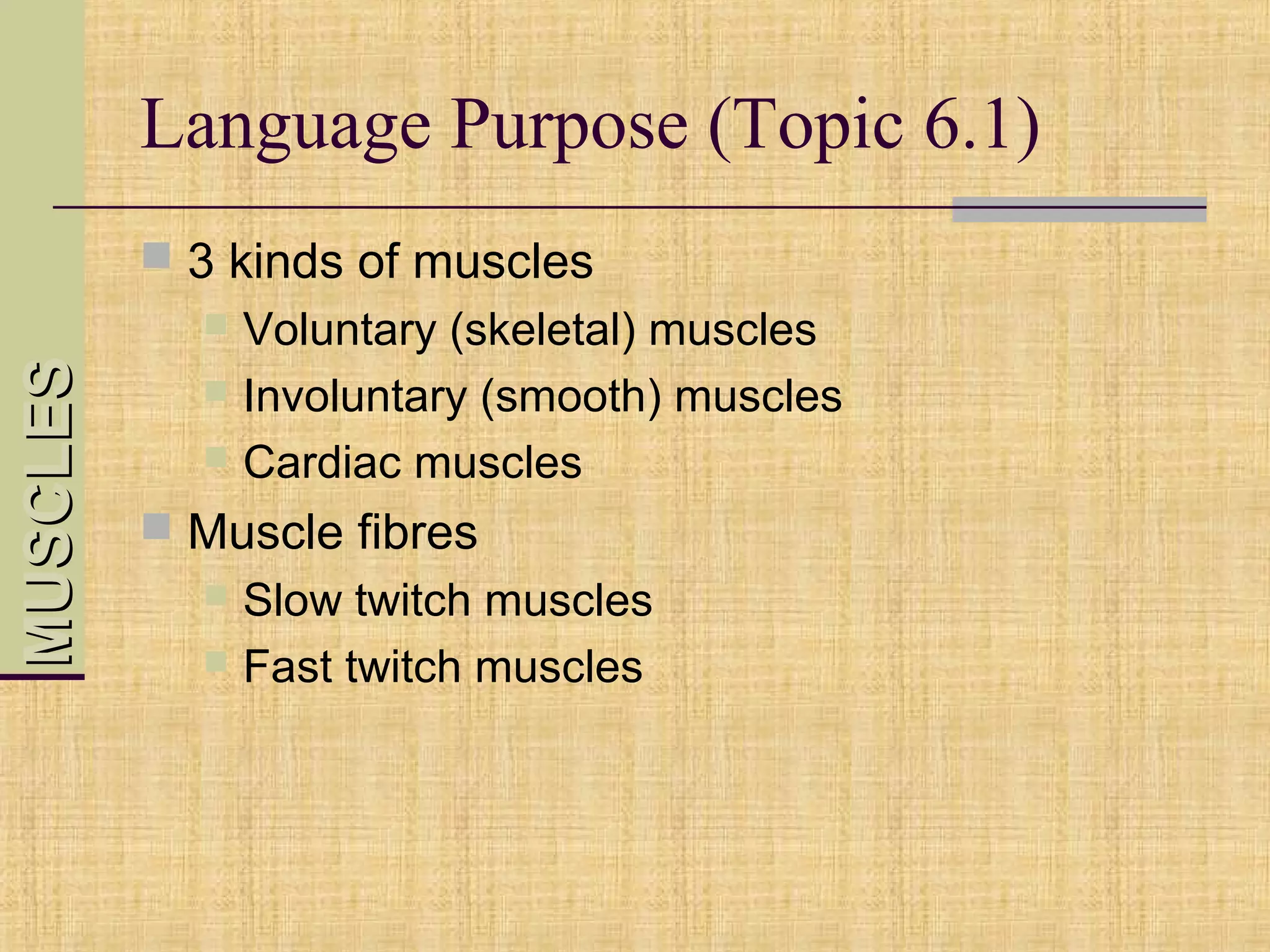 Flipped Classroom - Muscles | PPT