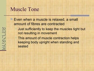 Flipped Classroom - Muscles | PPT