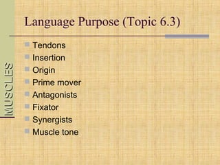 Flipped Classroom - Muscles | PPT