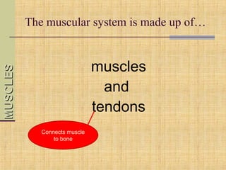 Flipped Classroom - Muscles | PPT