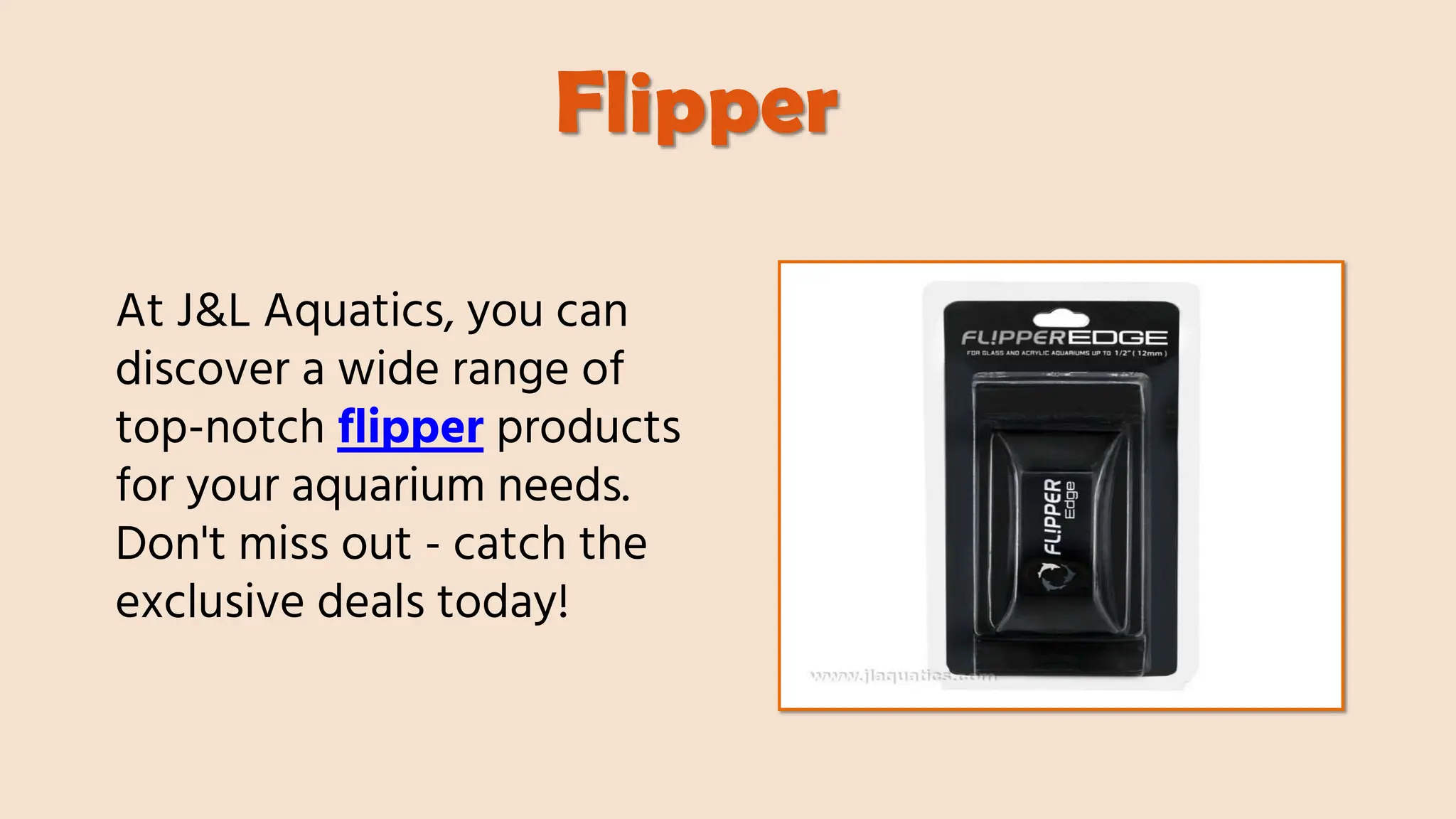 Flipper | PPT