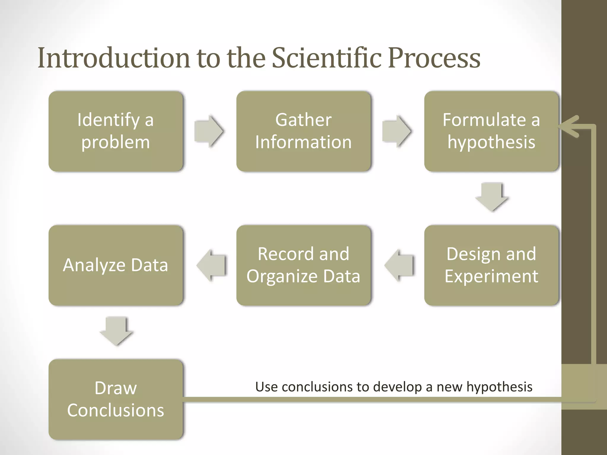 Steps of Scientific Method.pptx