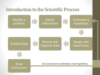 Steps of Scientific Method.pptx