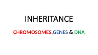 flip task Inheritance: Chromosomes, genes and DNA | PPT
