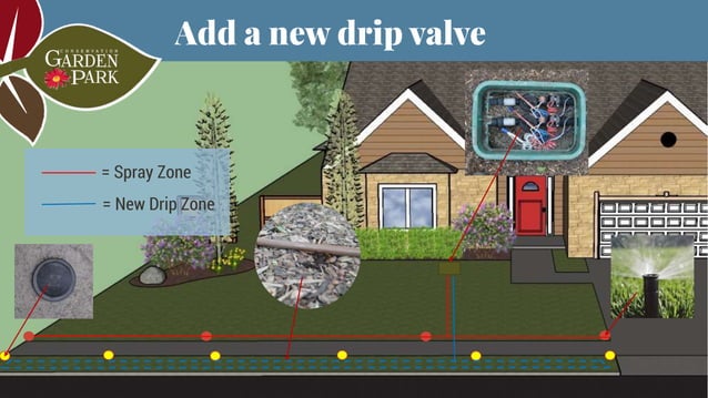 Creating Waterwise Park Strips | PPTX | Gardening | Home & Garden