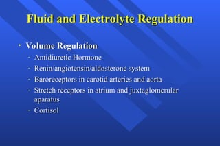 fliud therapy.ppt For anesthesia student | PPT