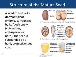 Botany_Part_II_Growth_and_Development.ppt