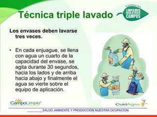 Triple Lavado de Pesticidas | PDF