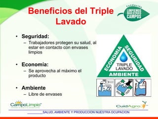 Triple Lavado de Pesticidas | PDF