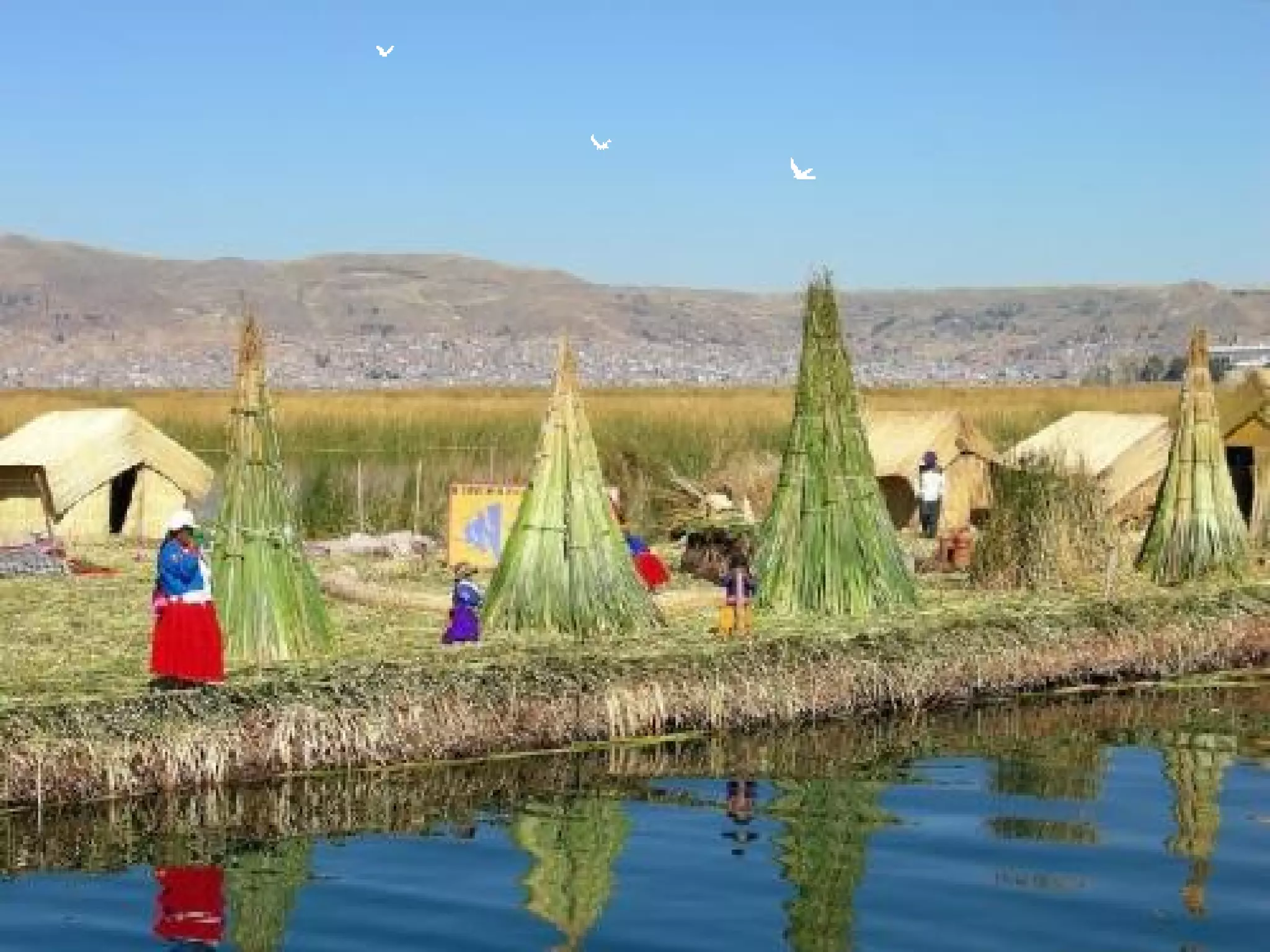 Floating Islands (Cmp) | PPS