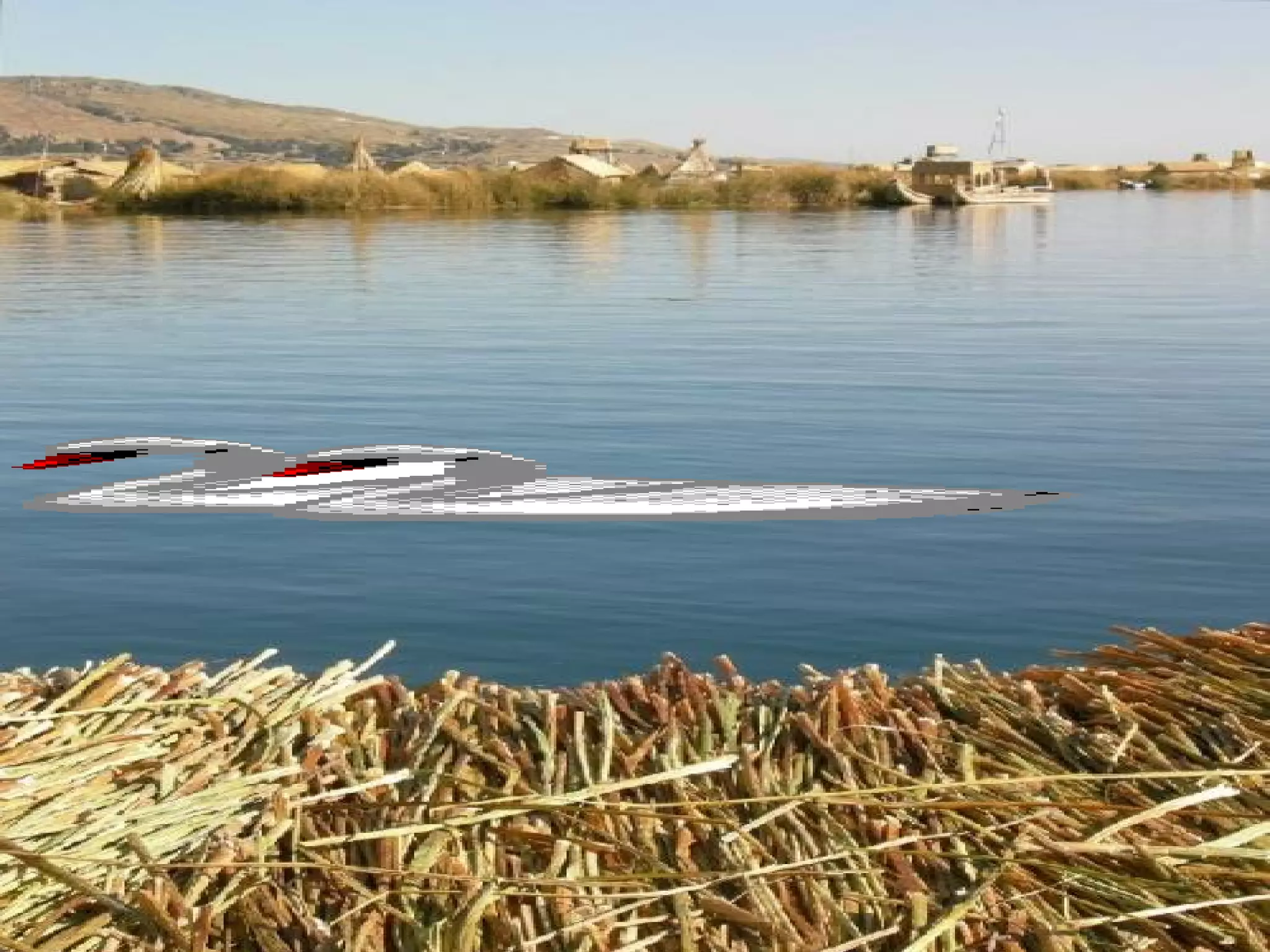 Floating Islands (Cmp) | PPS