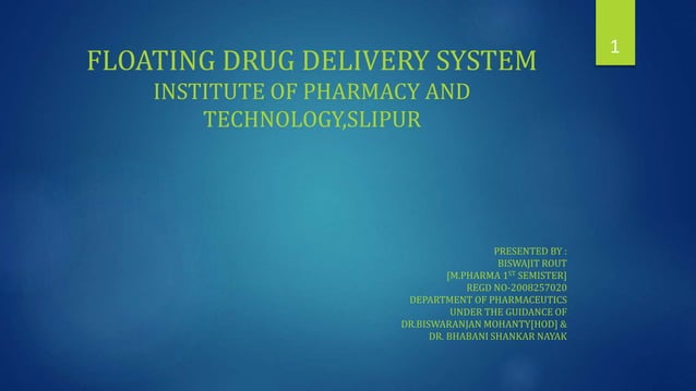 Floating drug delivery system