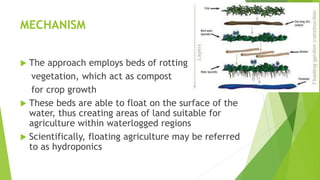 Floating farms | PPTX