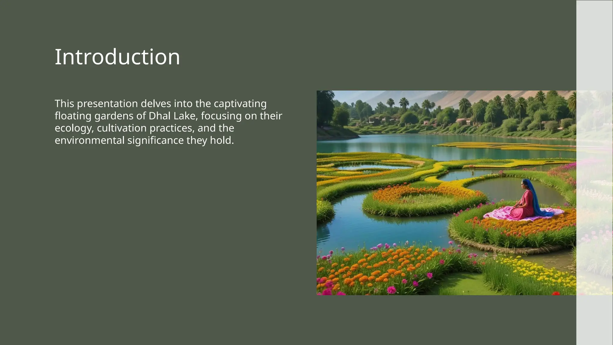 Floating Gardens of dhal lake (3).pptx