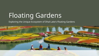 Floating Gardens of dhal lake (3).pptx