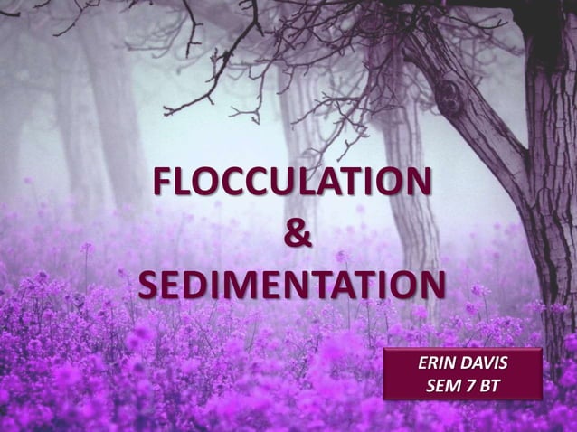 Flocculation & Sedimentation | PPTX | Geology | Science