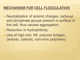 Flocculation | PPTX