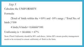 FLOCK UNIFORMITY PPT- POULTRY RAISING ANIMAL PRODUCTION | PPTX