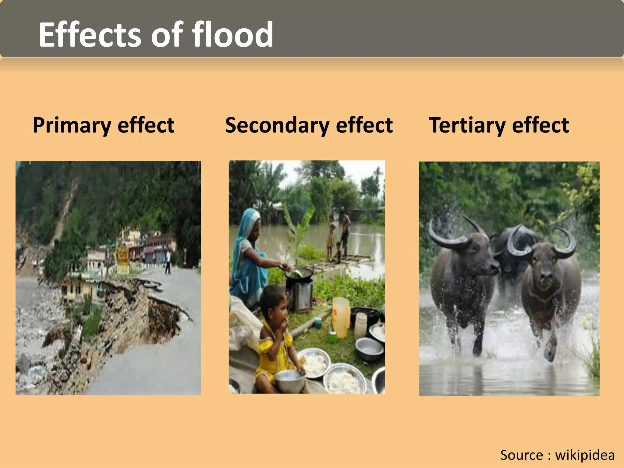 Flood project case study rk | PPTX