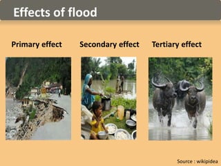 Flood project case study rk | PPTX