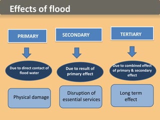 Secondary Effects Of Floods